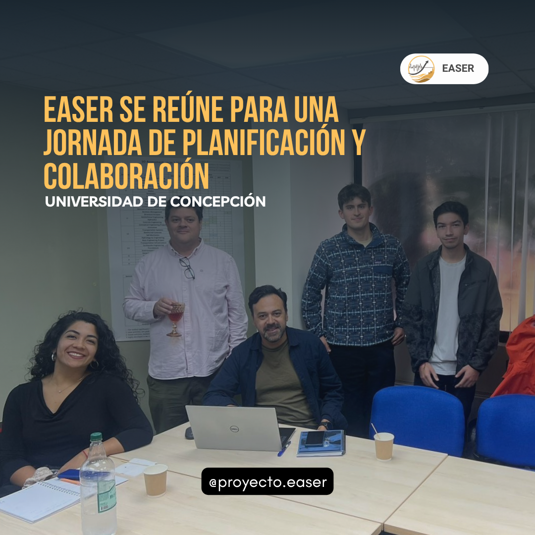 Jornada de trabajo del equipo completo de EASER - proyecto easer